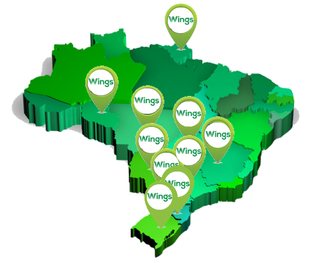 Sobre nós - Wings Ltda