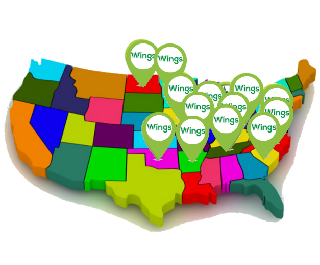 Sobre nós - Wings Ltda