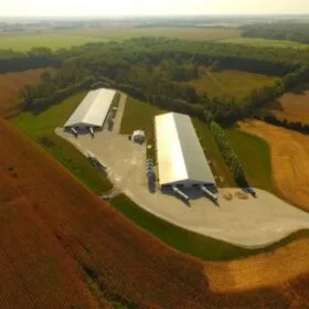 OP NUTRITION NOS EUA - Wings Ltda